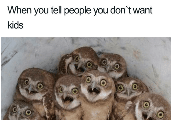 40 Hilarious Memes That Every Child-Free Person Can Relate To